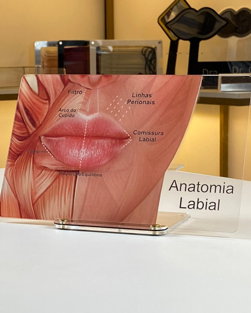 Anatomia Labial - Quadro de Marcação - Macromodelo - Guia Estético - G