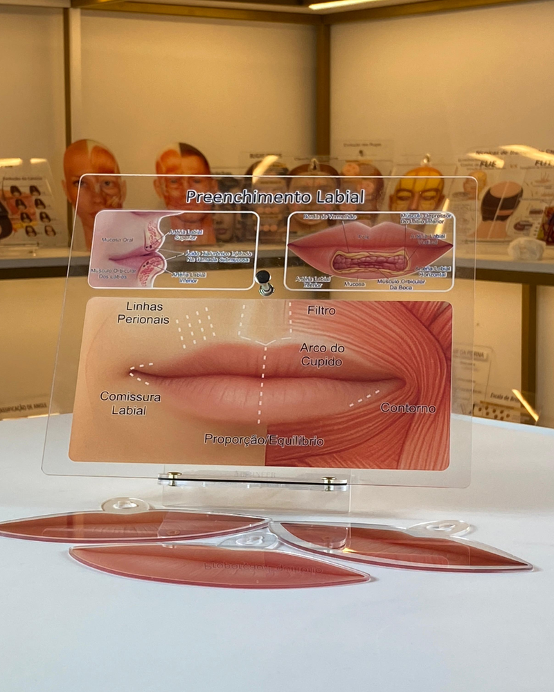 Anatomia e Preenchimento Labial - Quadro de Marcação - Macromodelo ...