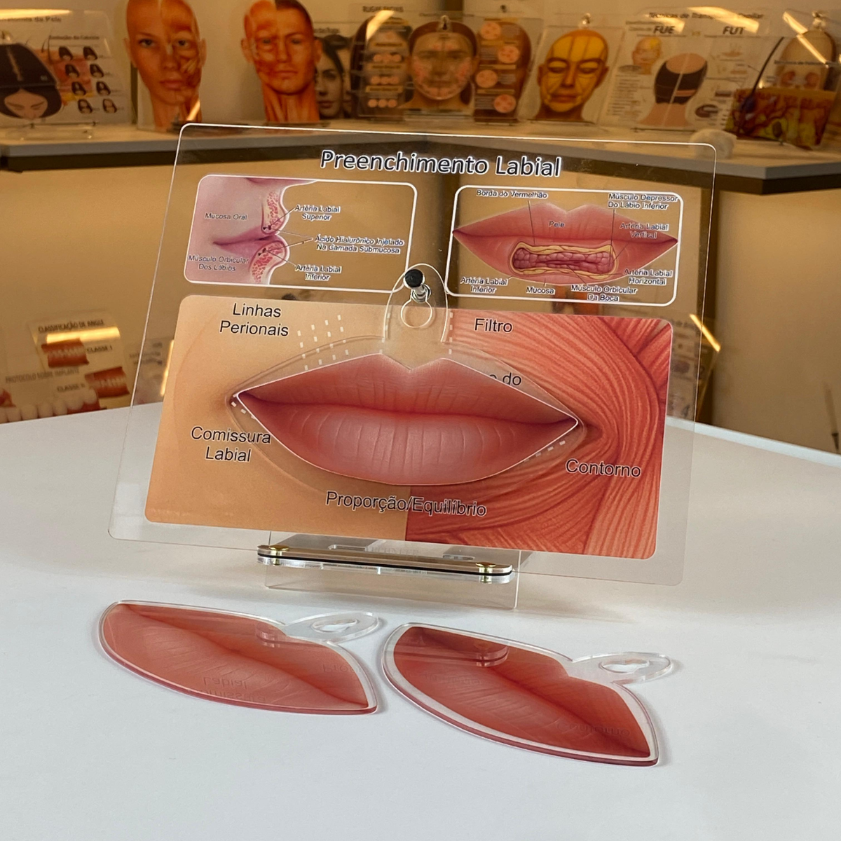 Anatomia e Preenchimento Labial - Quadro de Marcação - Macromodelo ...