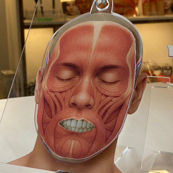 Camadas da Face - Quadro de Marcação - Macromodelo - Maquete - Guia ...