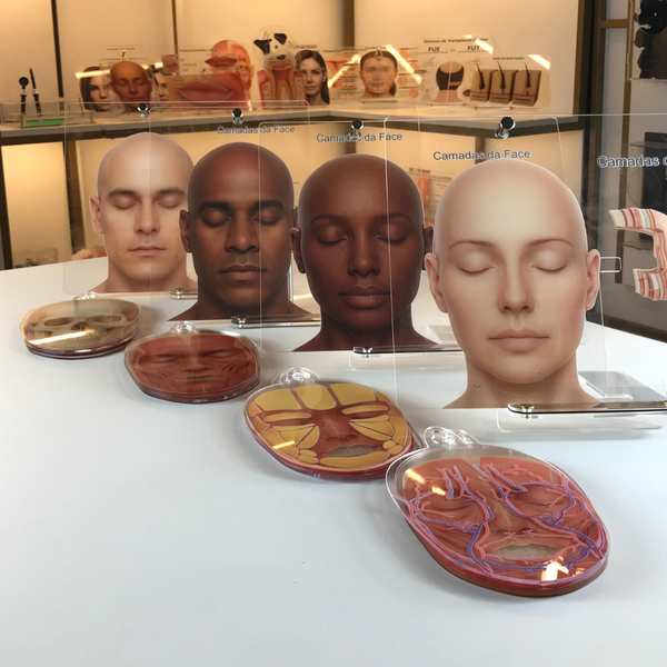 Camadas da Face - Quadro de Marcação - Macromodelo - Maquete - Guia ...