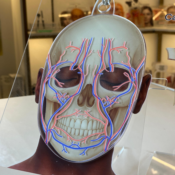 Camadas da Face - Quadro de Marcação - Macromodelo - Maquete - Guia ...